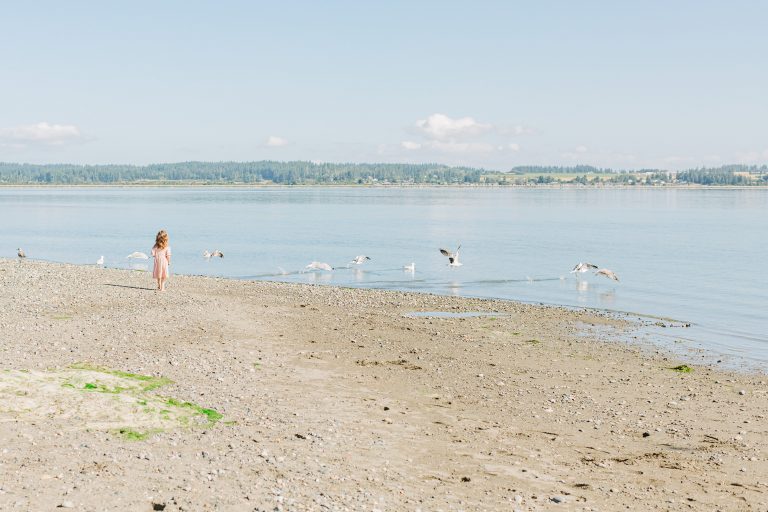 Iverson Beach - Windermere Stanwood Camano