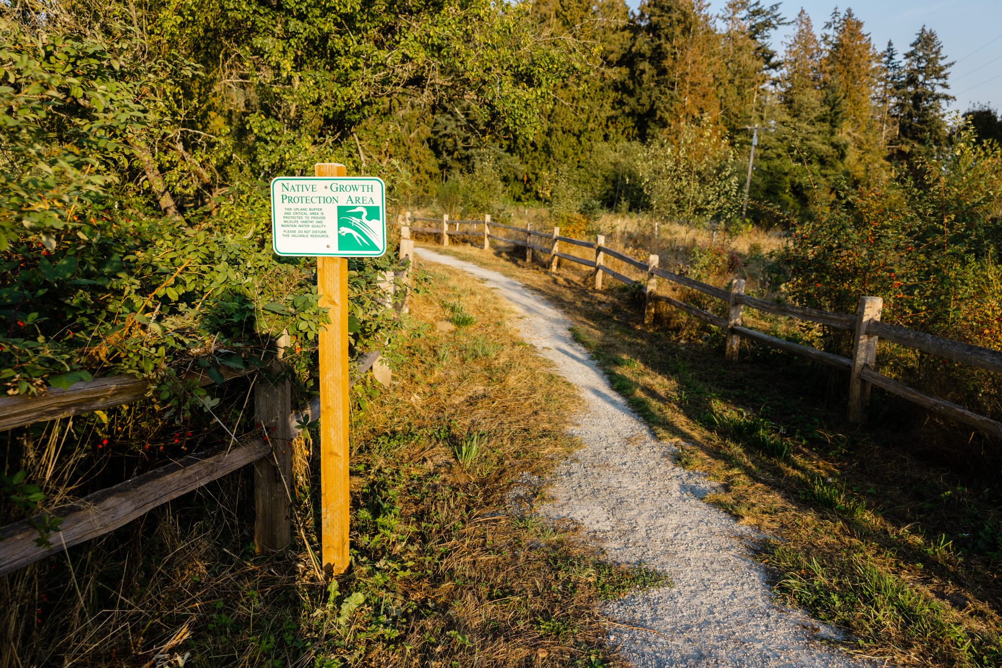 Cedar Home Square - Windermere Stanwood Camano